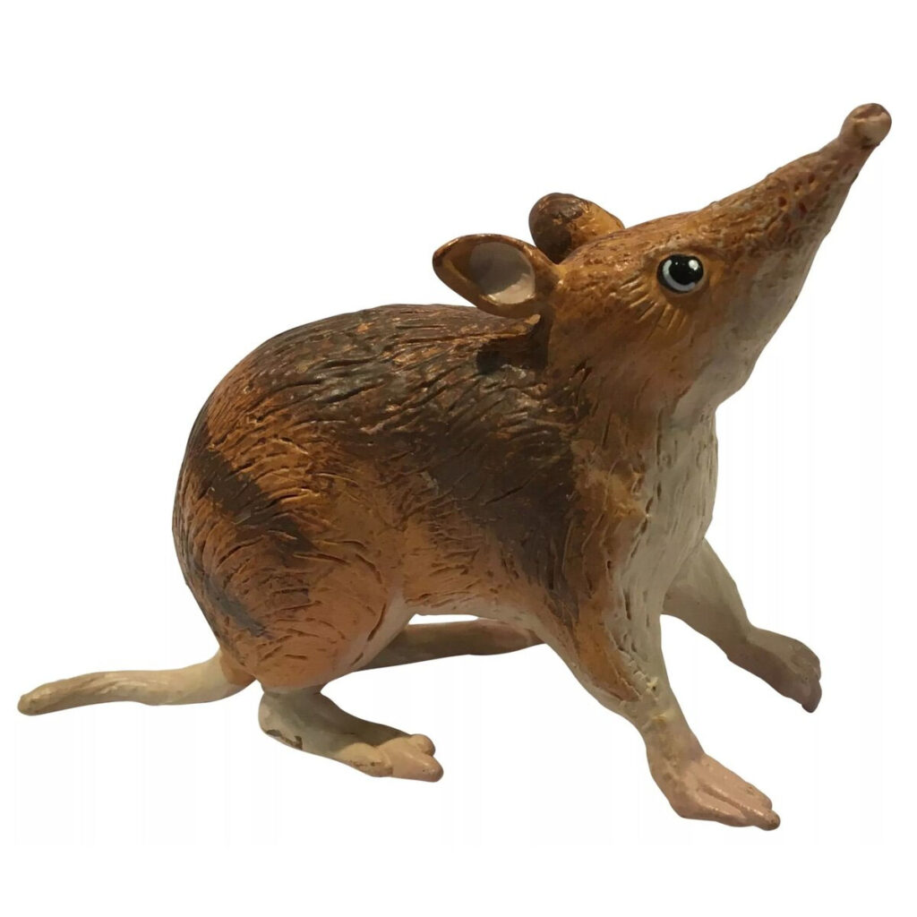 Bandicut - La Extinción